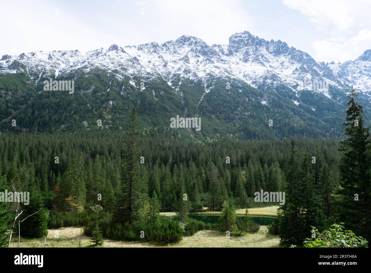 Snowy mountains, green forests In National park Zakopane Poland ...