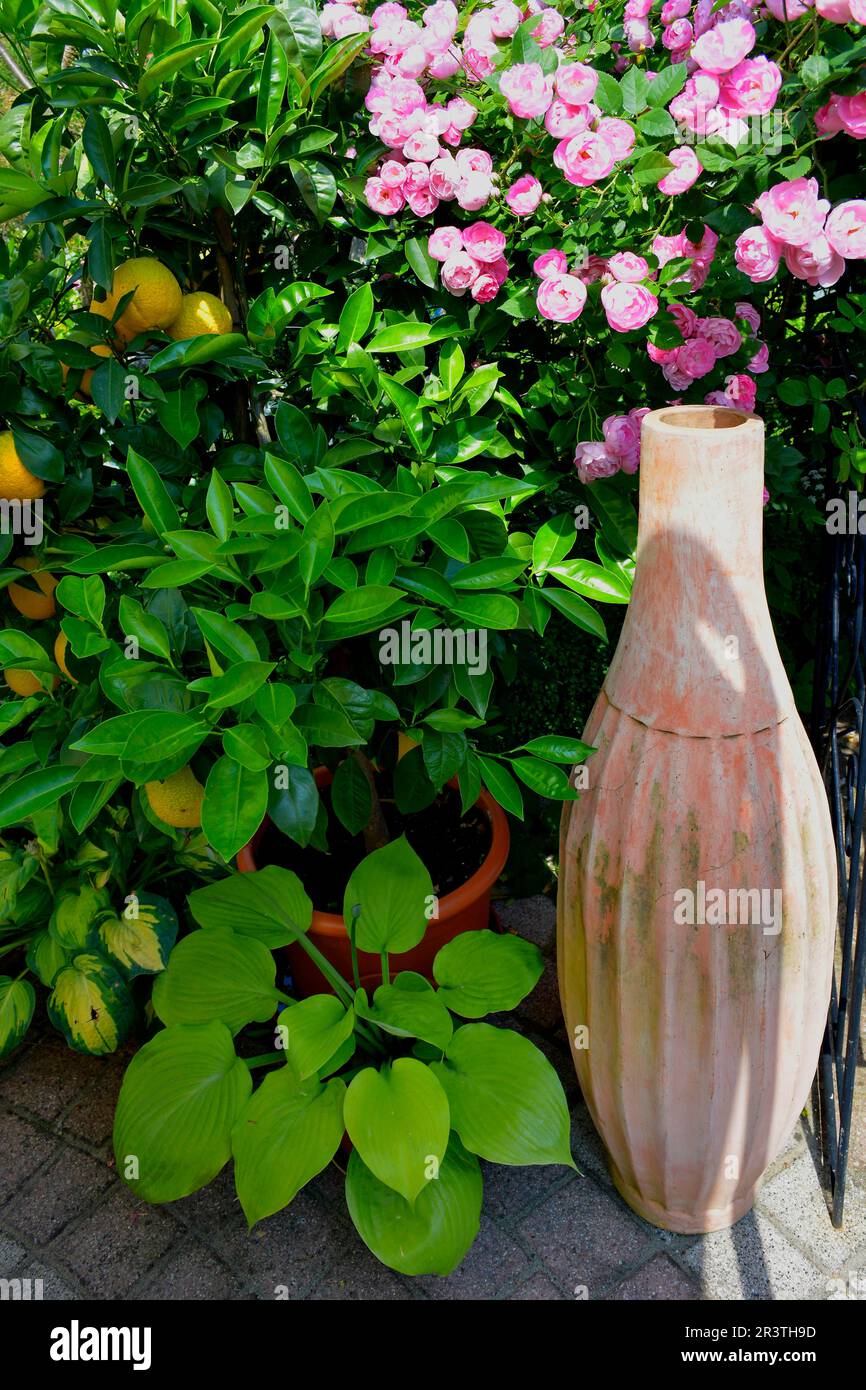 Ornamental exterior hi-res stock photography and images - Alamy