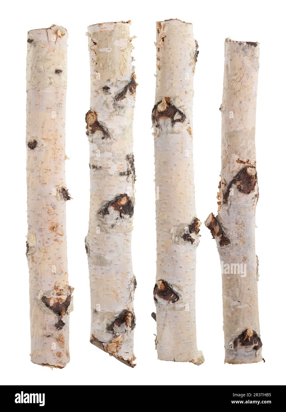 Birch logs isolated on white Stock Photo - Alamy
