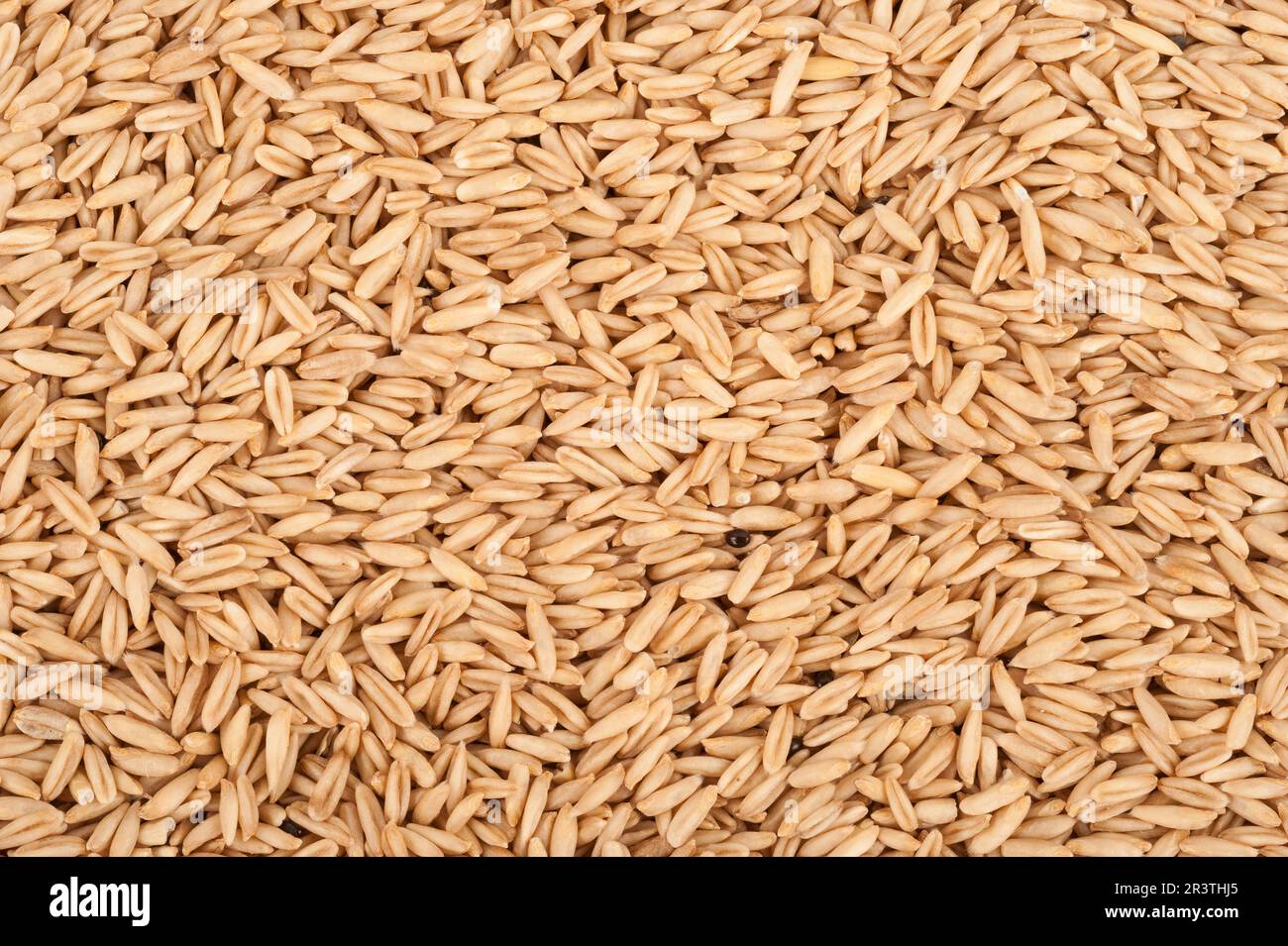 Oats texture hi-res stock photography and images - Alamy