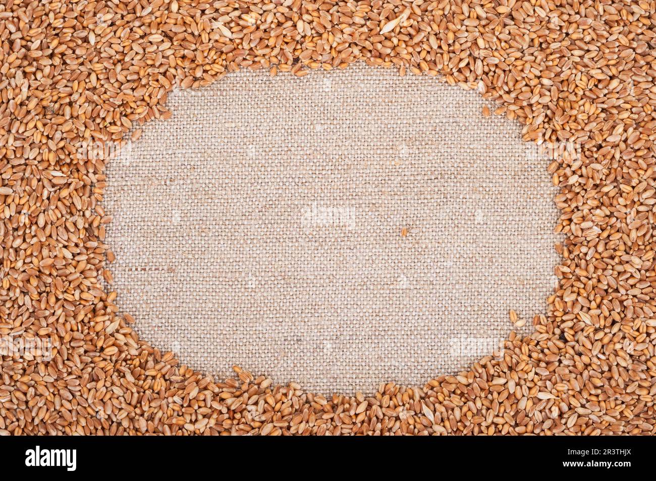Wheat border frame autumn hi-res stock photography and images - Alamy