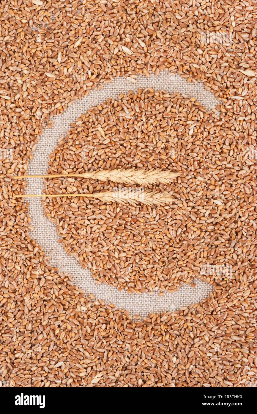 Euro symbol made from wheat grain Stock Photo - Alamy