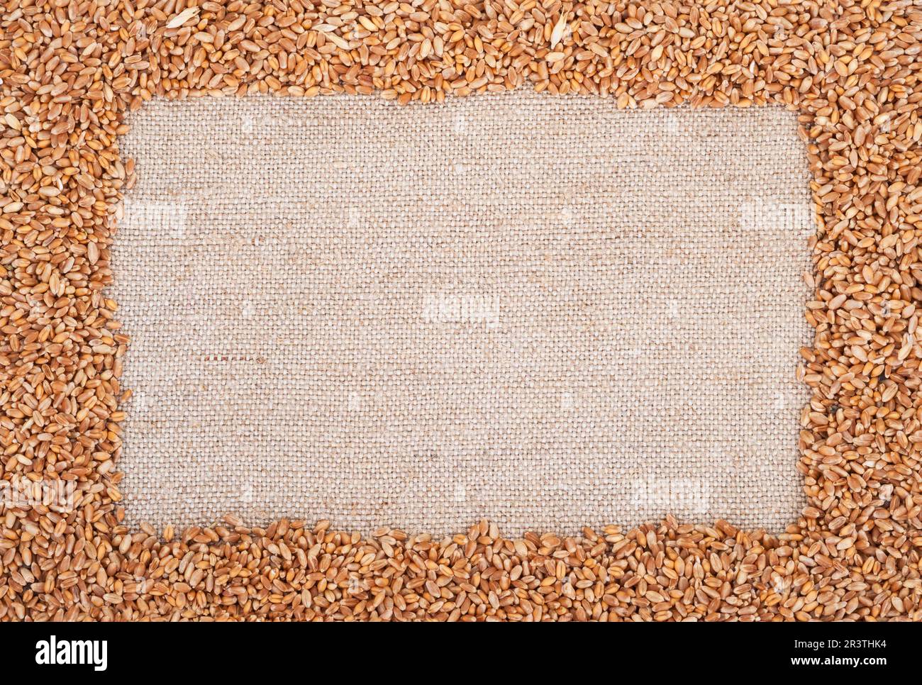 Wheat border frame autumn hi-res stock photography and images - Alamy