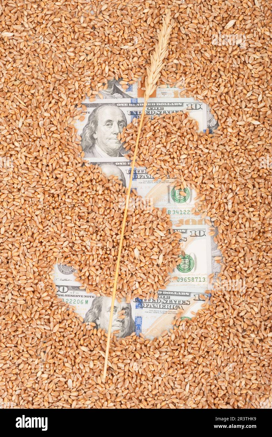 Dollar symbol made from wheat grain Stock Photo - Alamy