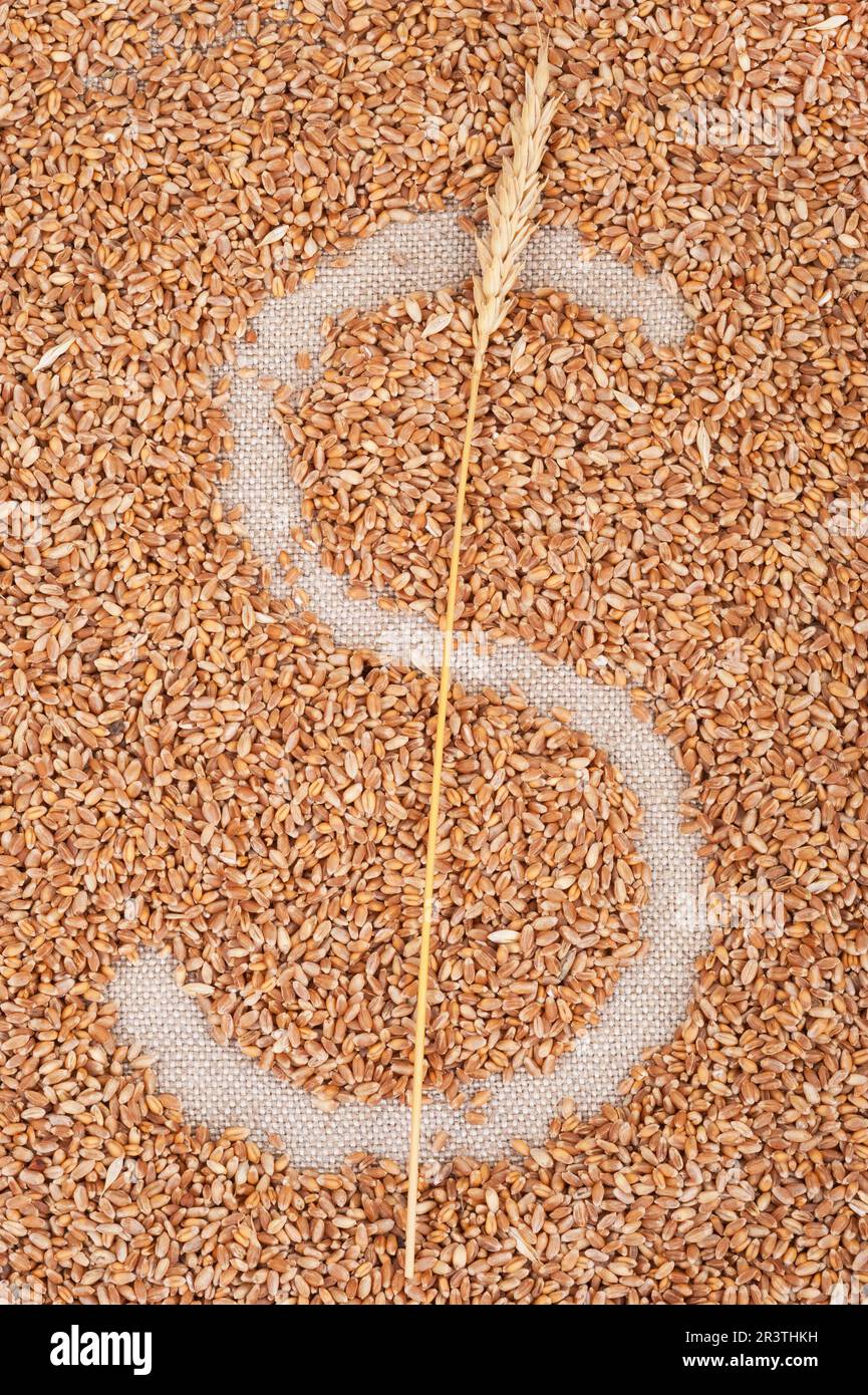 Dollar symbol made from wheat grain Stock Photo - Alamy