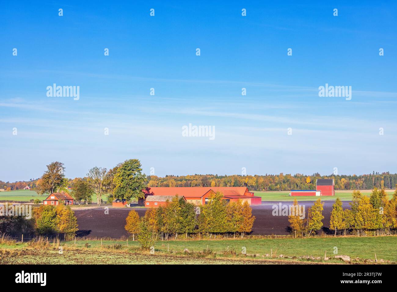 Country farm with beautiful autumn colors in the landscape, Sweden ...
