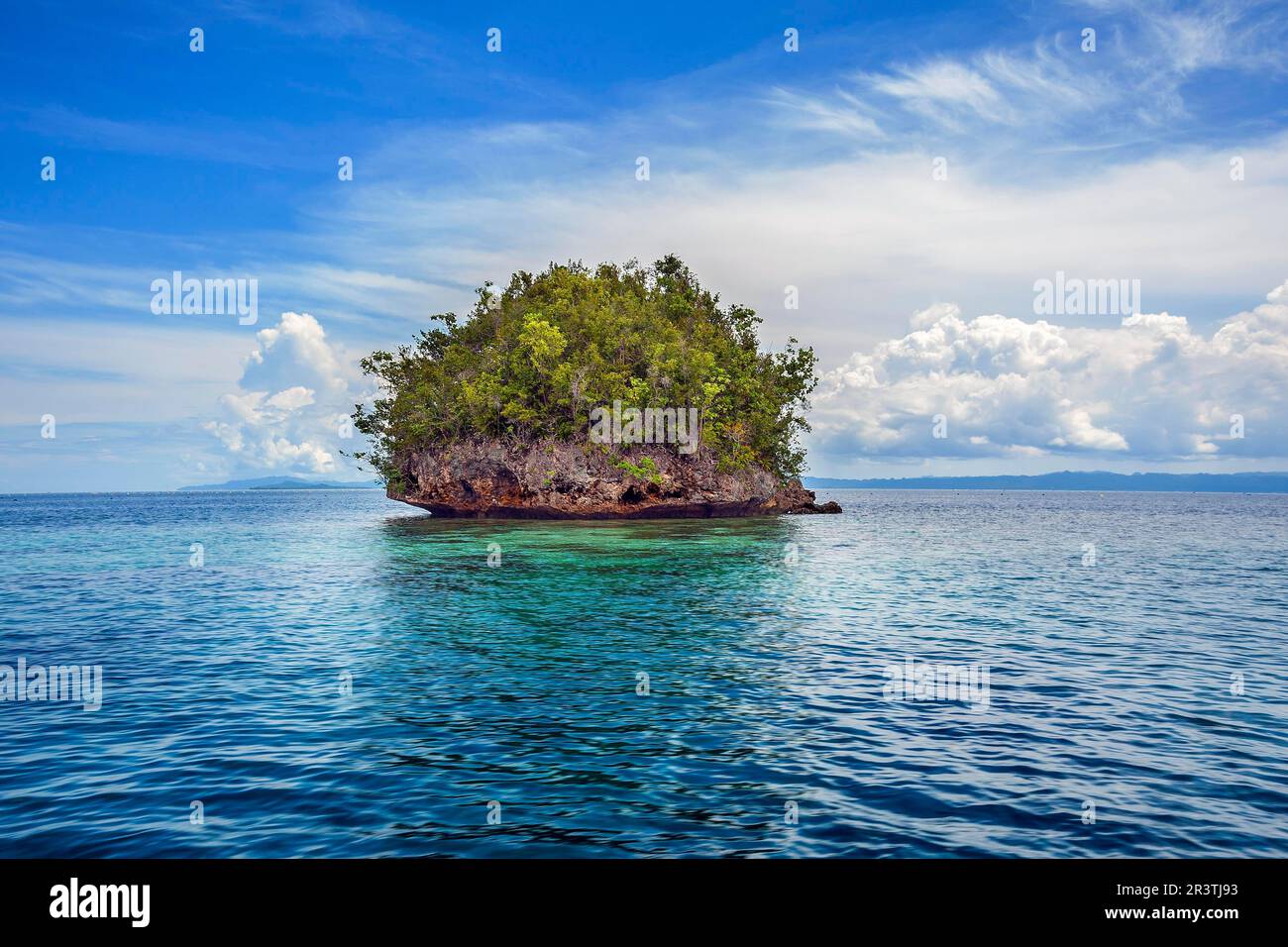 Wooded limestone islet in the Dampier Strait, West Papua, Indonesia ...