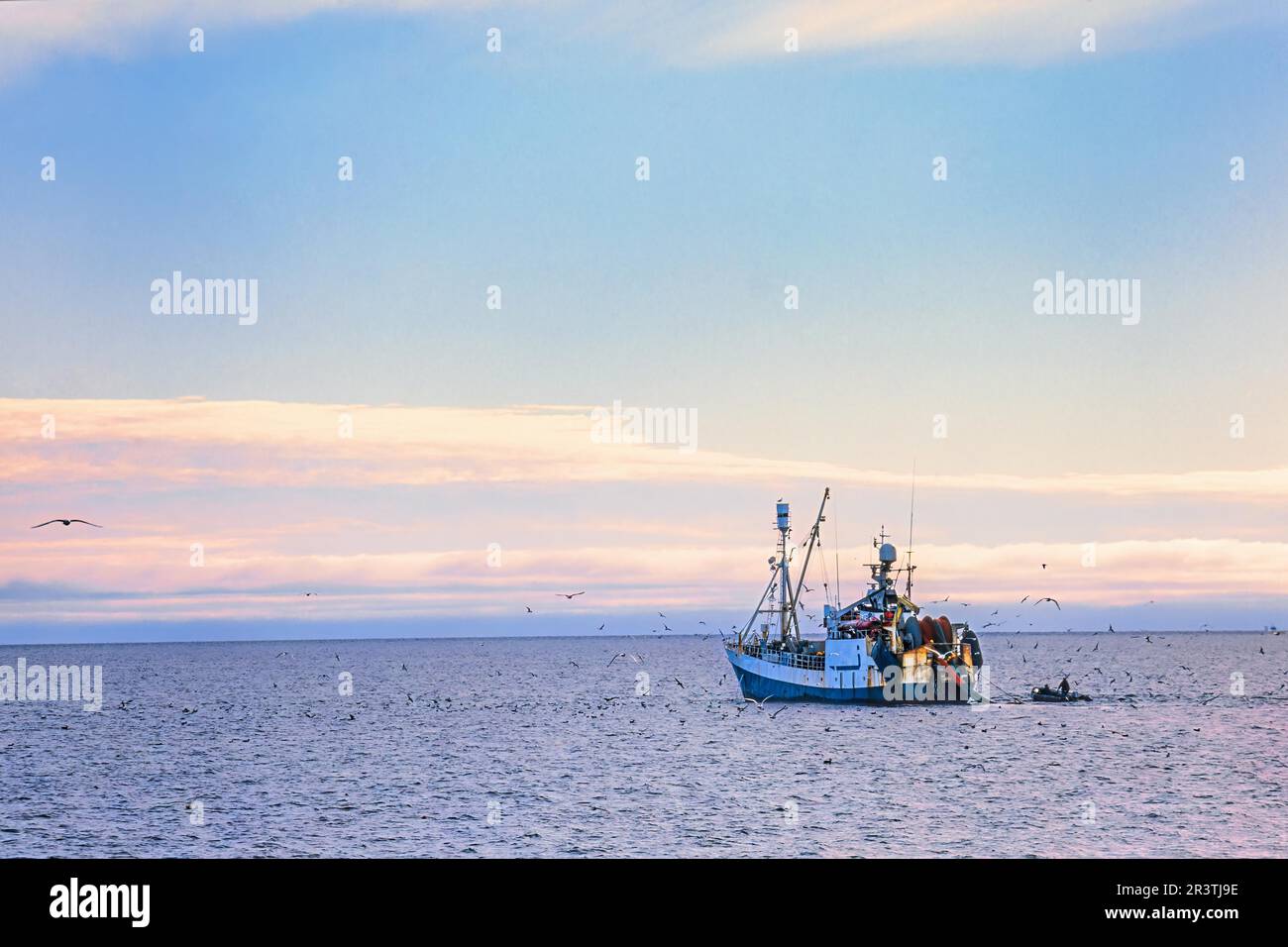 Shrimp trawler on the Arctic Ocean with seagulls and Nordic light ...