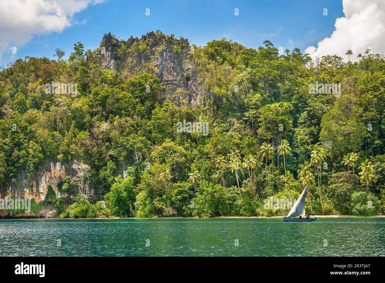 Limestone rock face, forested island in the Dampier Strait, West Papua ...