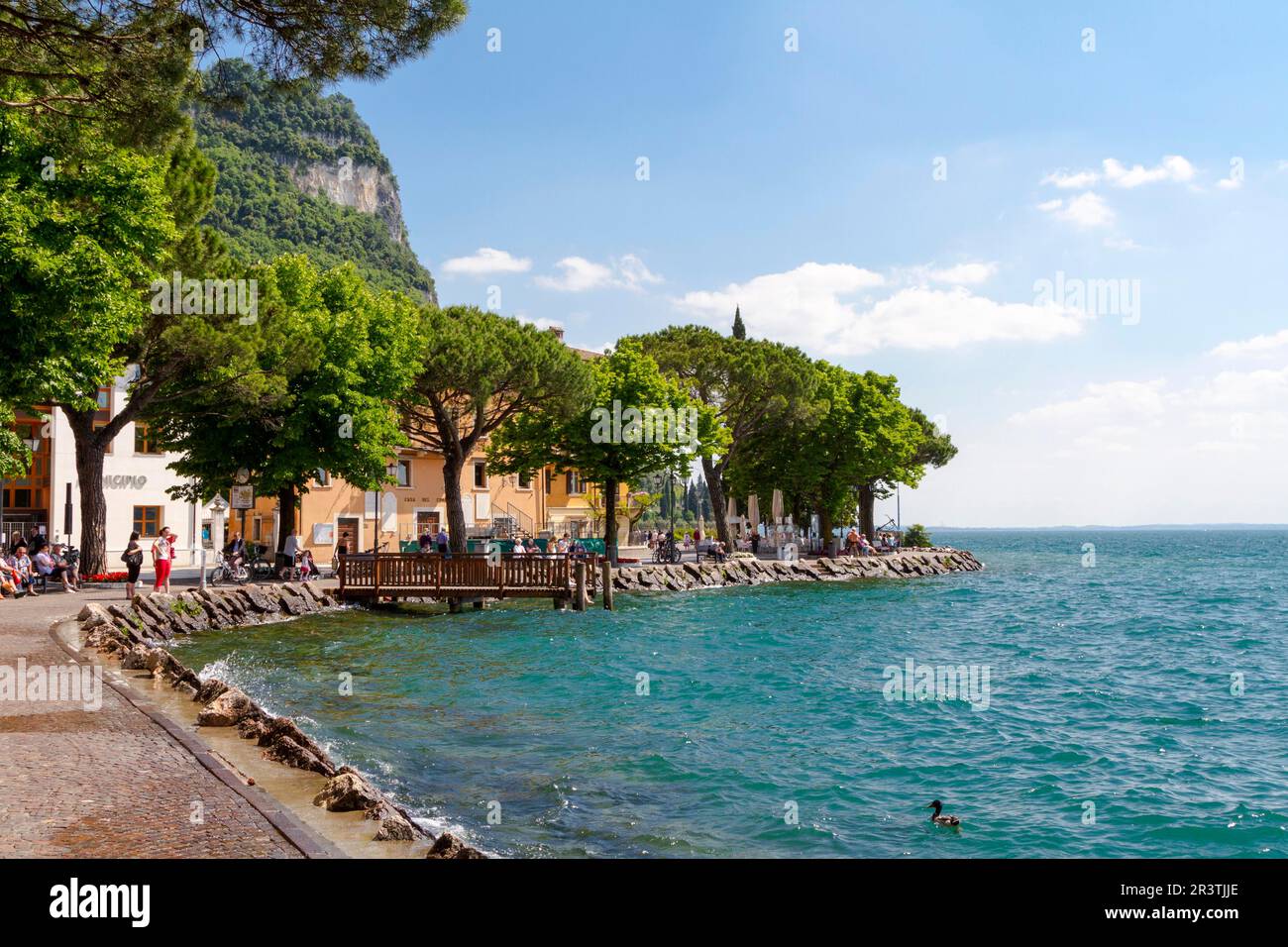 Lakeside promenade in Garda on Lake Garda Stock Photo - Alamy