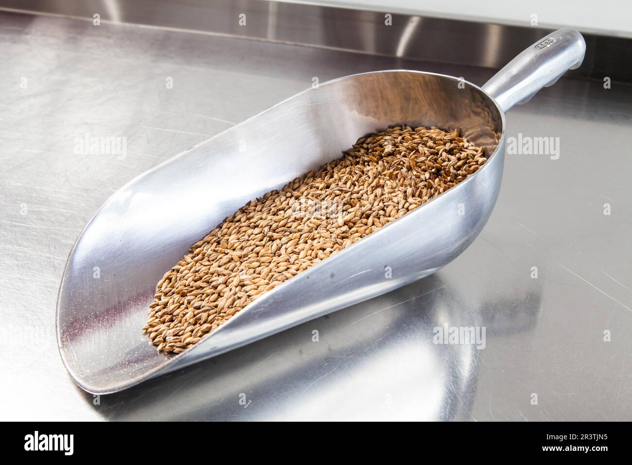 Malt premium hi-res stock photography and images - Alamy