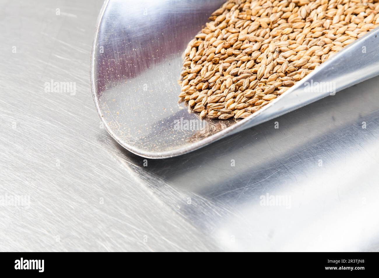 Detail of raw malt in a premium brewery Stock Photo - Alamy