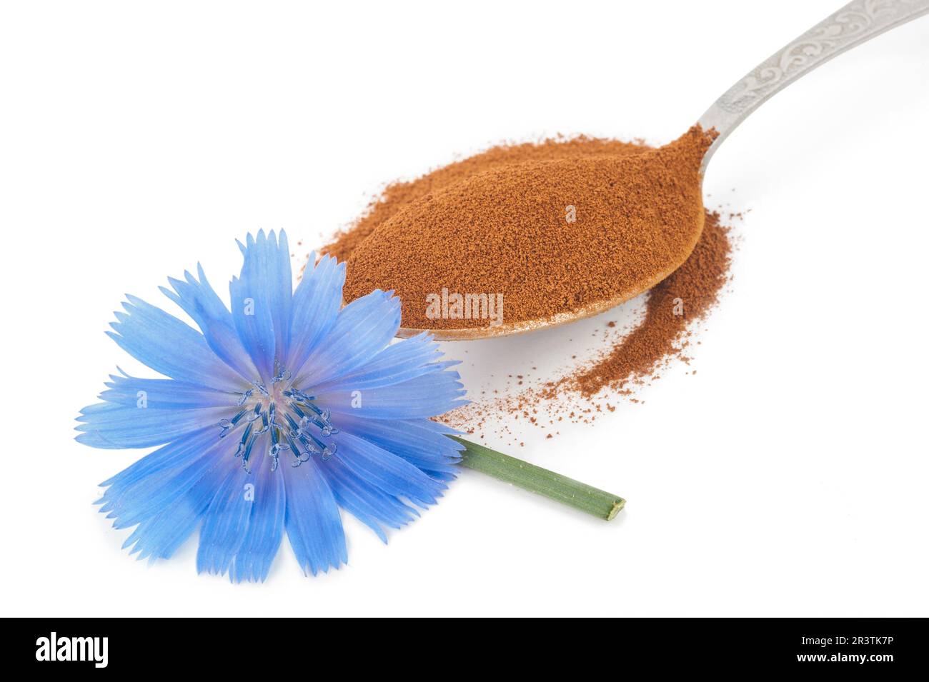 Blue chicory flower and powder of instant chicory Stock Photo - Alamy