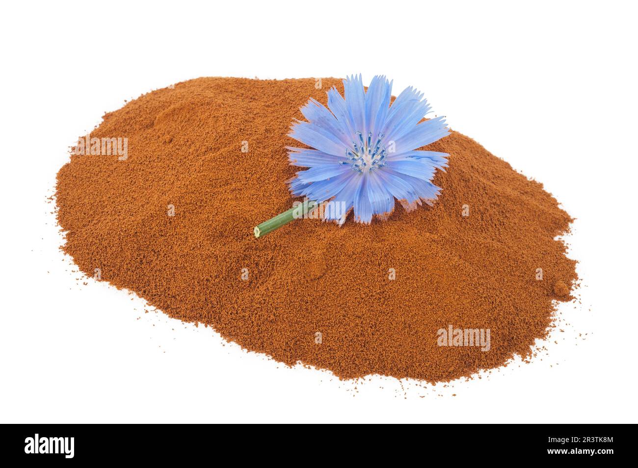 Blue chicory flower and powder of instant chicory Stock Photo - Alamy