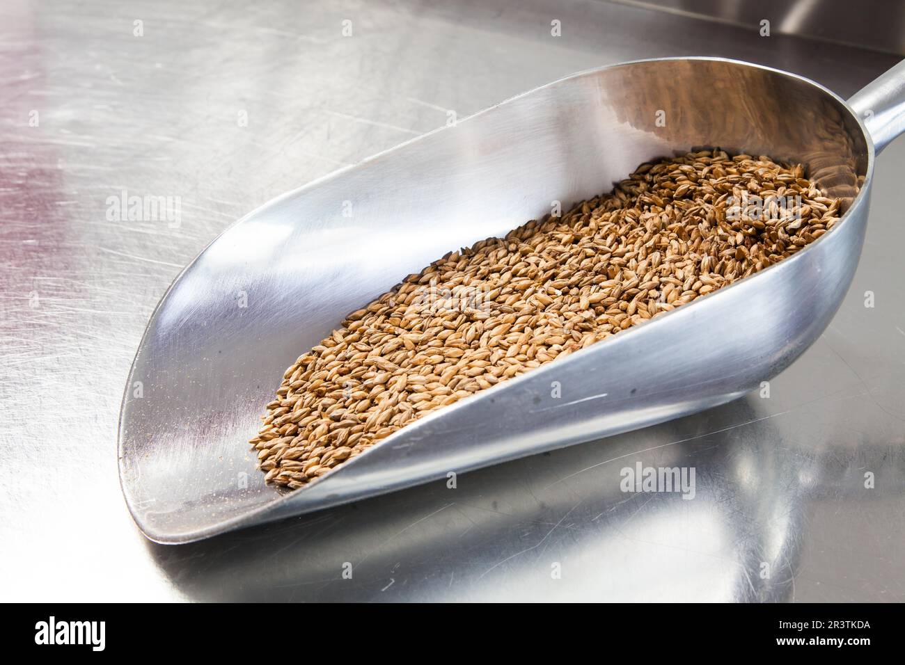 Detail of raw malt in a premium brewery Stock Photo - Alamy
