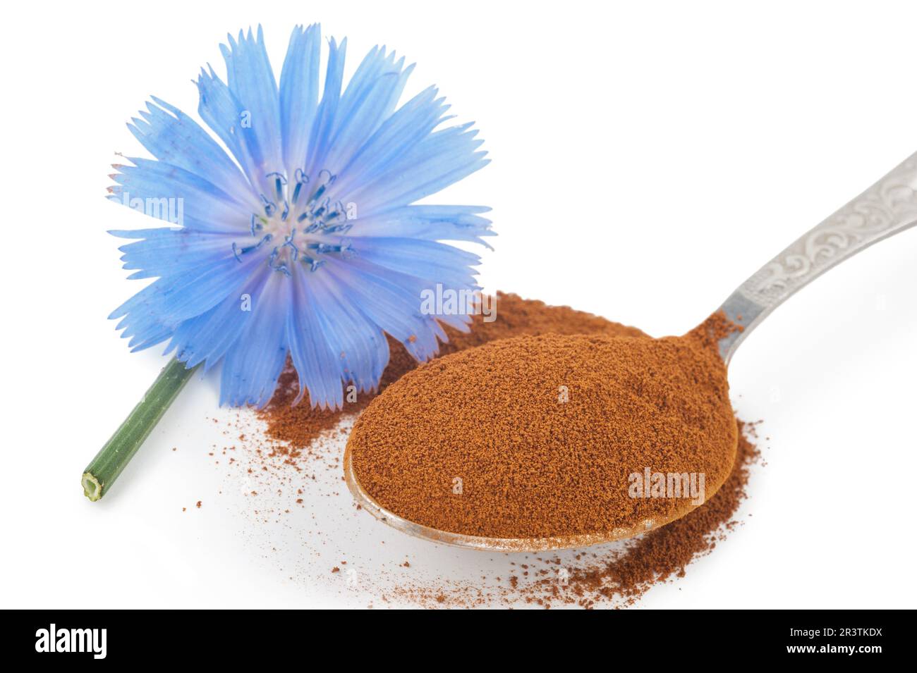 Blue chicory flower and powder of instant chicory Stock Photo - Alamy