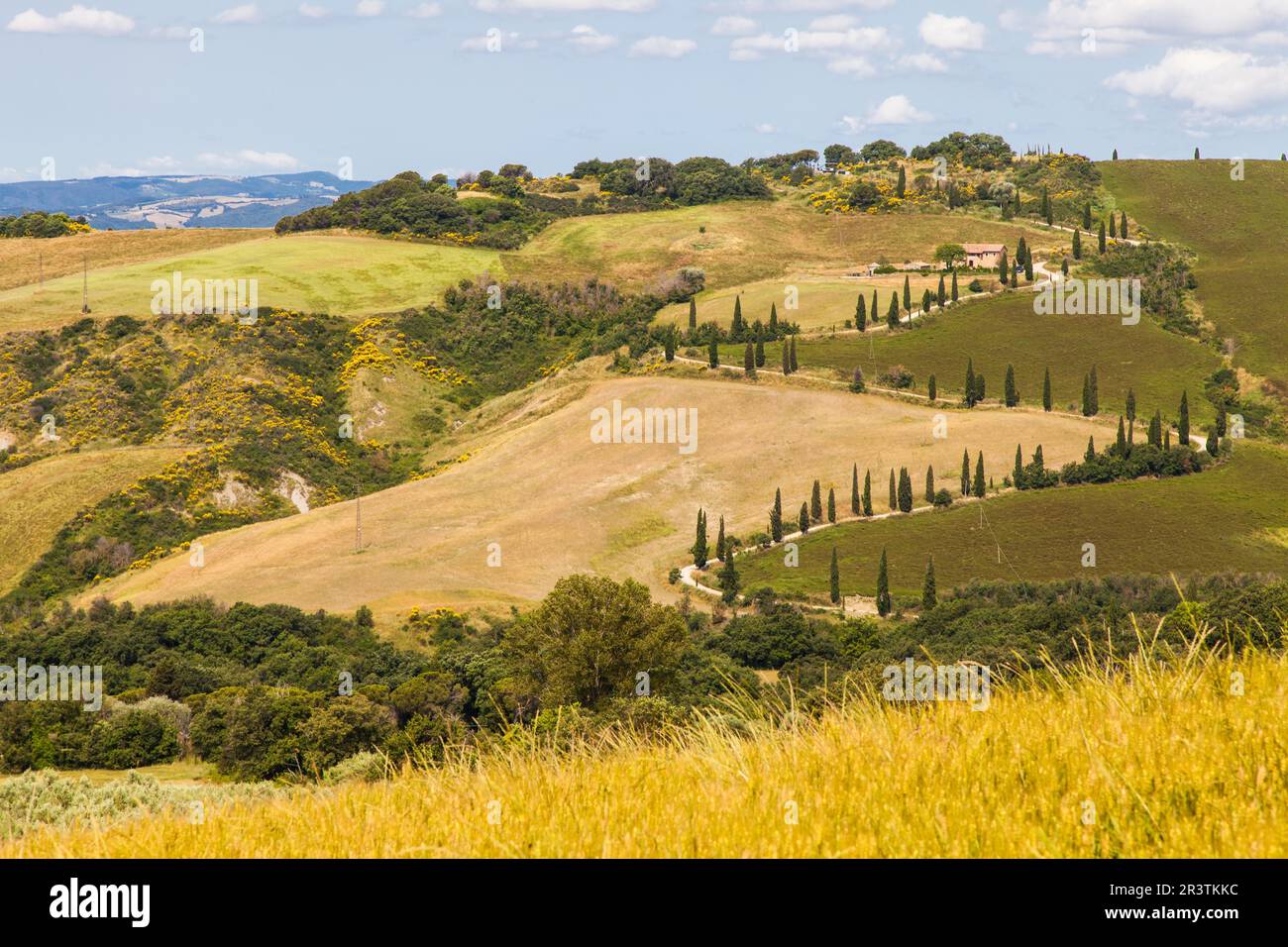 Tuscany, Italy. Famous La Foce street, landmark of Tuscan country Stock ...