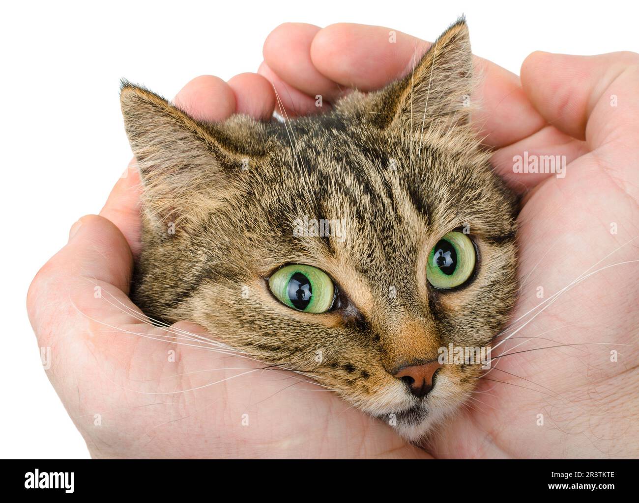 Caress hands hi-res stock photography and images - Alamy