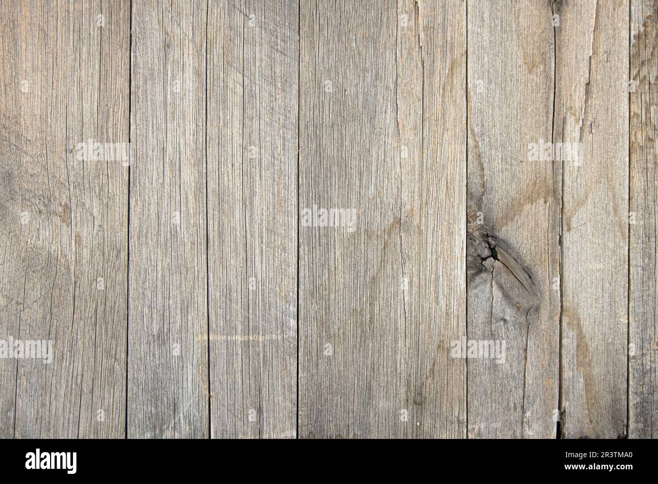 Timber backdrop hi-res stock photography and images - Alamy