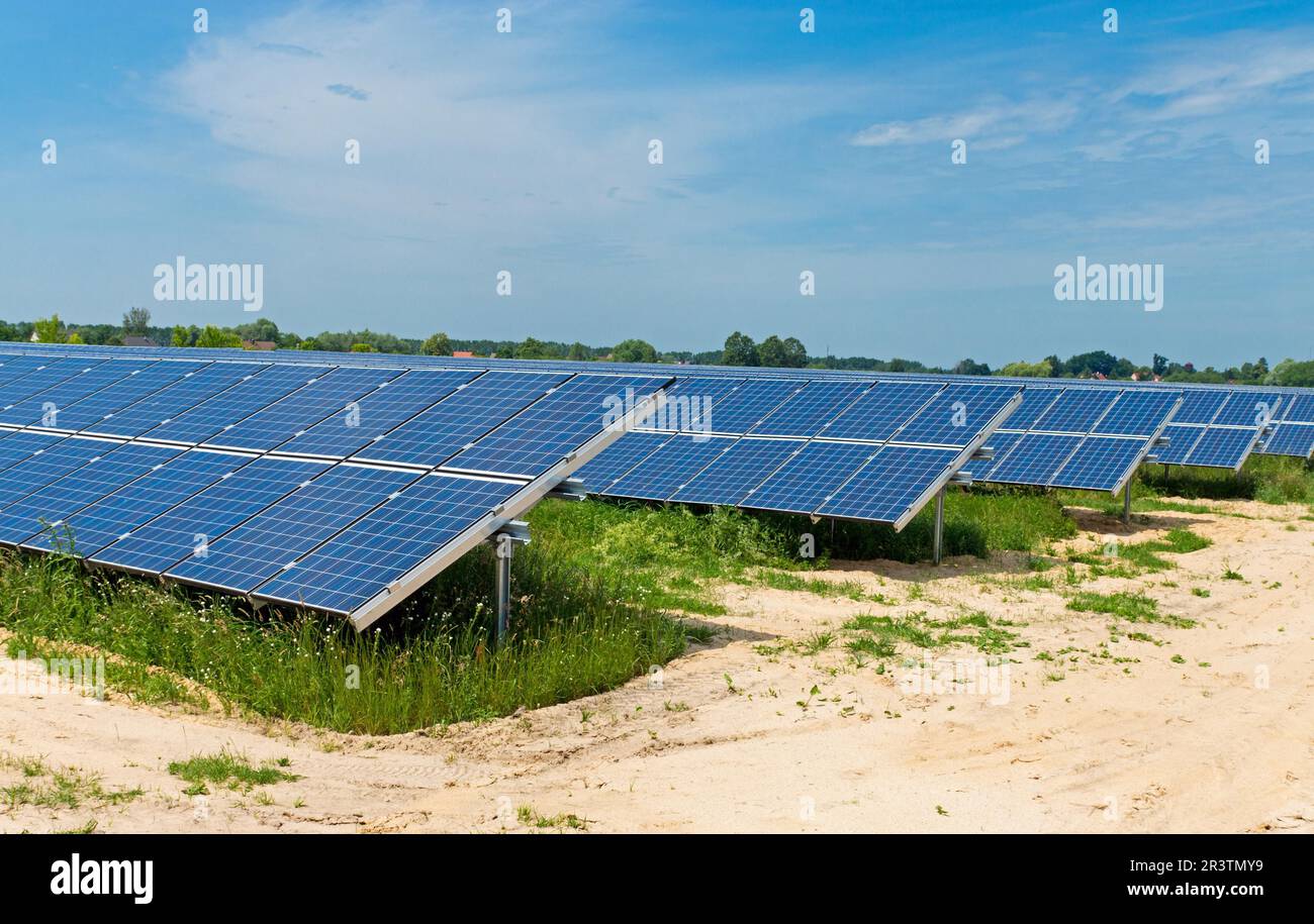 A field with solar panels Stock Photo - Alamy