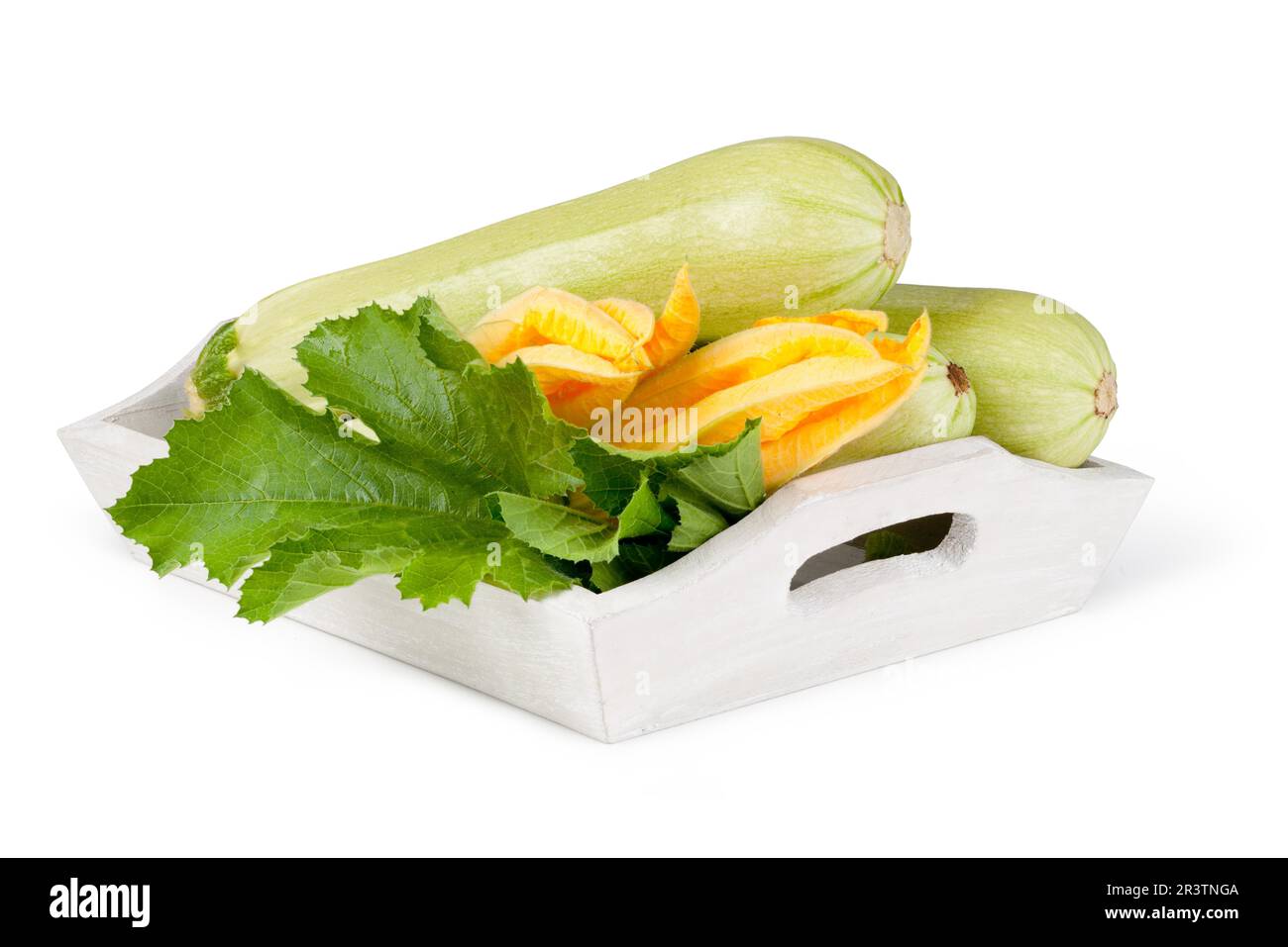 fresh vegetable zucchini isolated on white background Stock Photo - Alamy