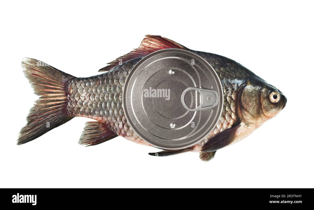 Conserve fish hi-res stock photography and images - Alamy
