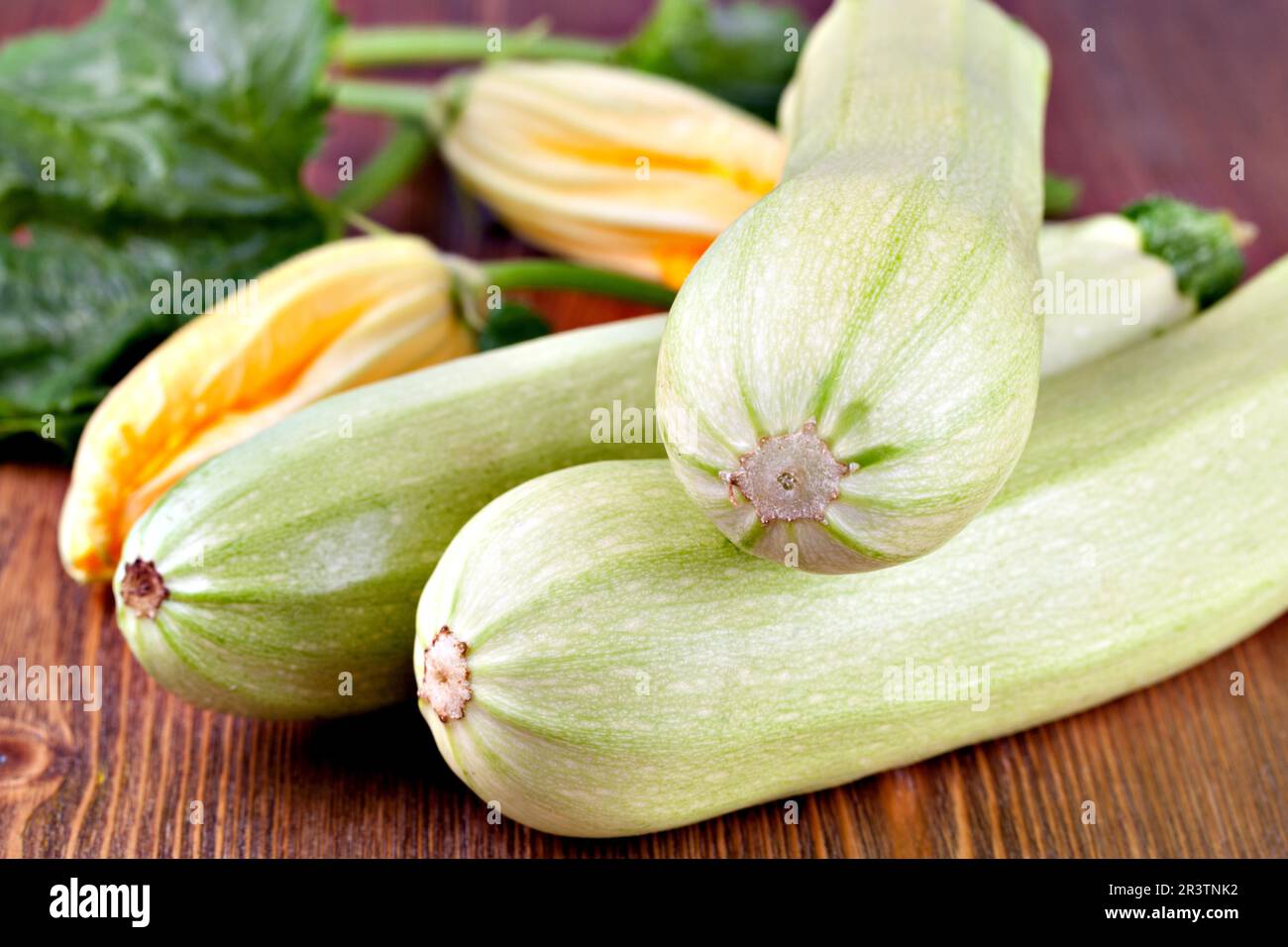 Fresh zucchini close up hi-res stock photography and images - Alamy