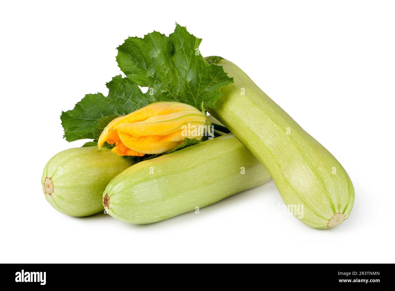 fresh vegetable zucchini isolated on white background Stock Photo - Alamy