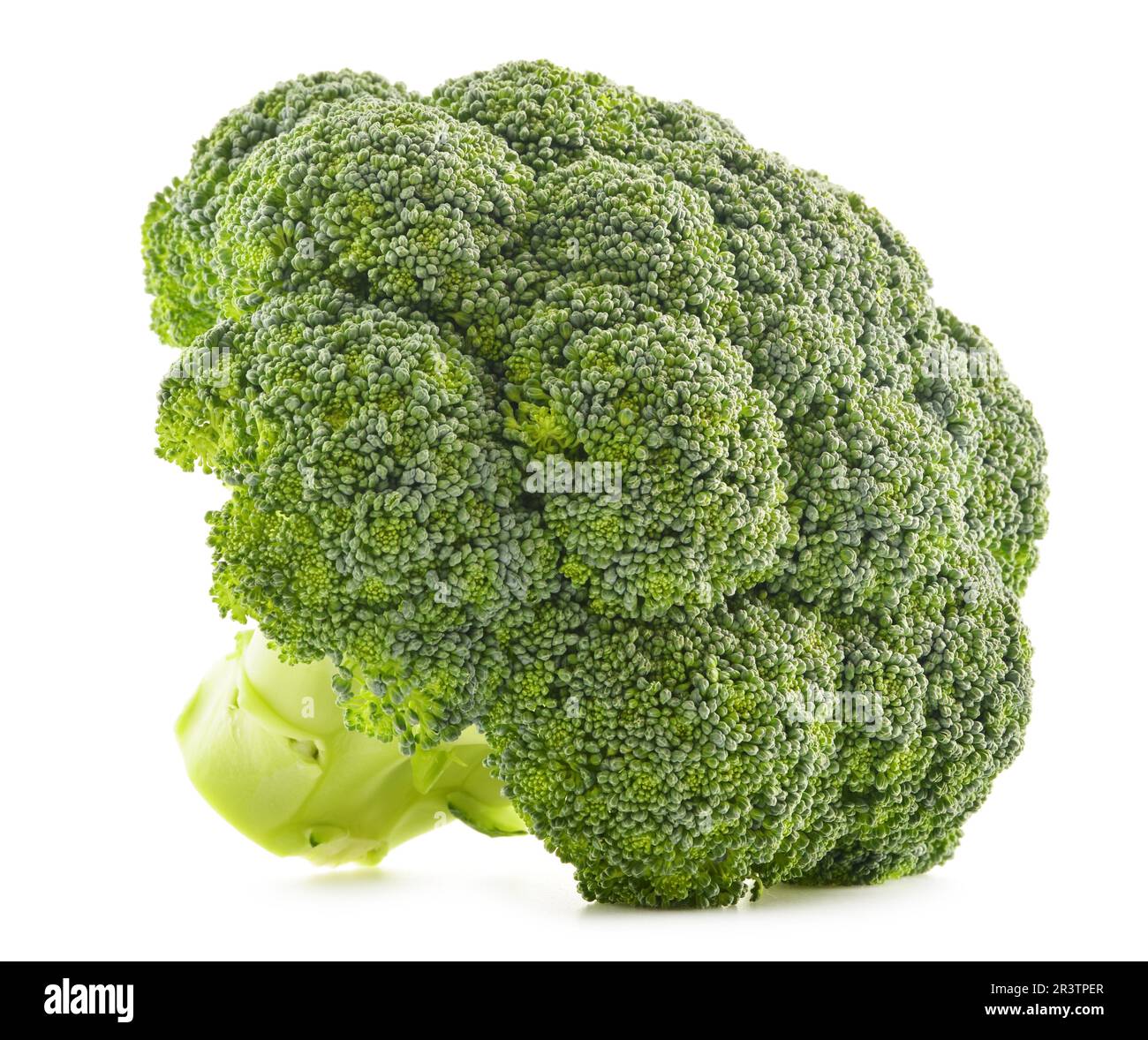 Fresh organic broccoli isolated on white background Stock Photo - Alamy