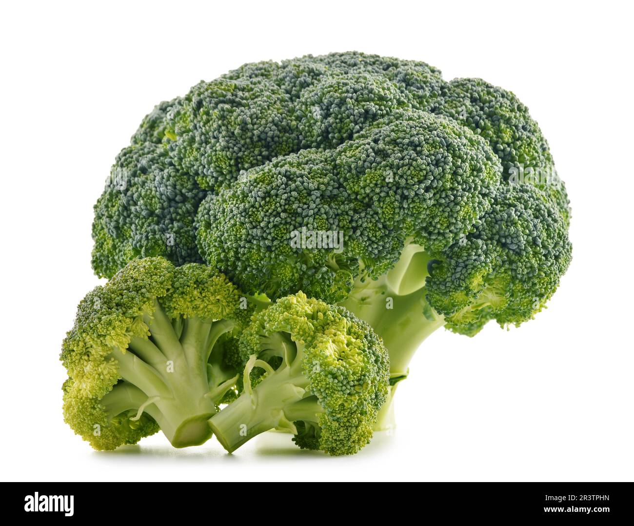 Fresh organic broccoli isolated on white background Stock Photo - Alamy