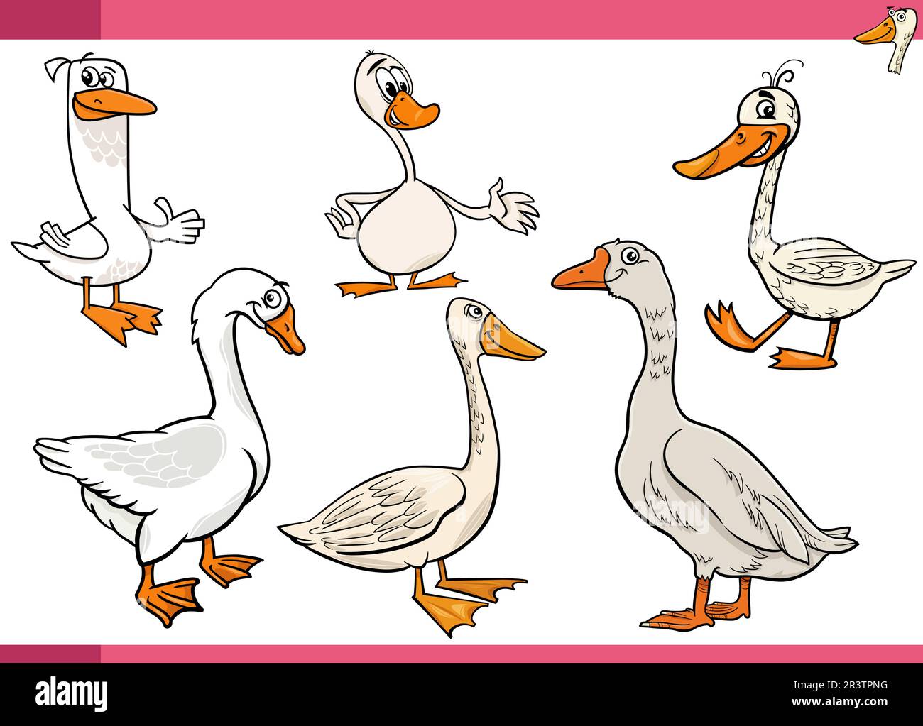 Cartoon illustration of geese farm birds animal characters set Stock ...