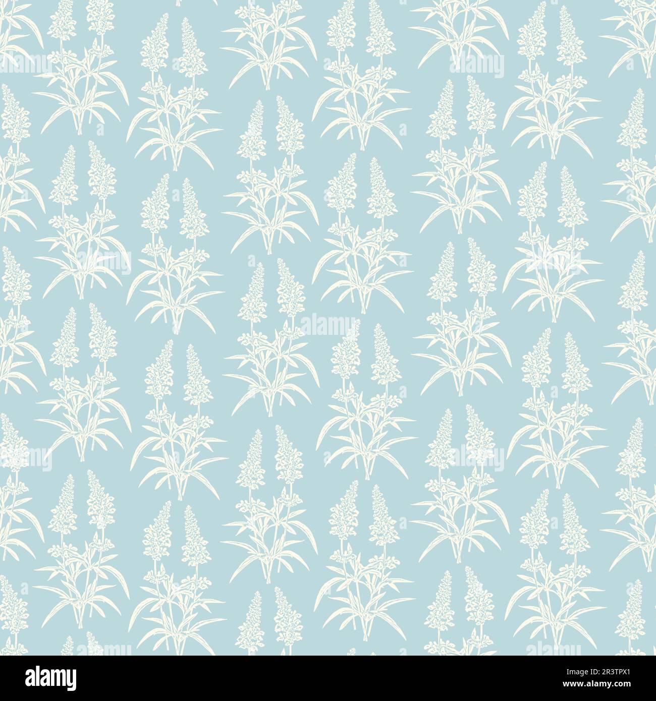 Sage flower hand drawn ink sketch isolated on blue background Stock ...