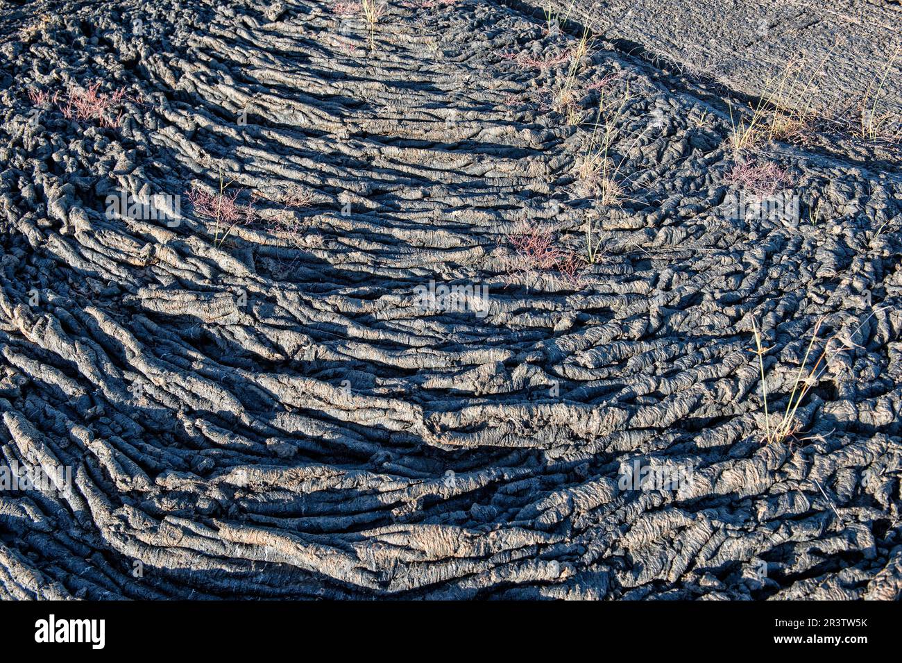 Lava flow, Punta Morena, Isabela Island, Galapagos, Ecuador Stock Photo ...