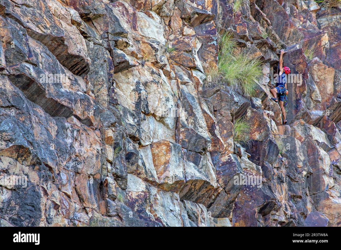 Rock climbing on the Kangaroo Point cliffs in Brisbane Stock Photo - Alamy