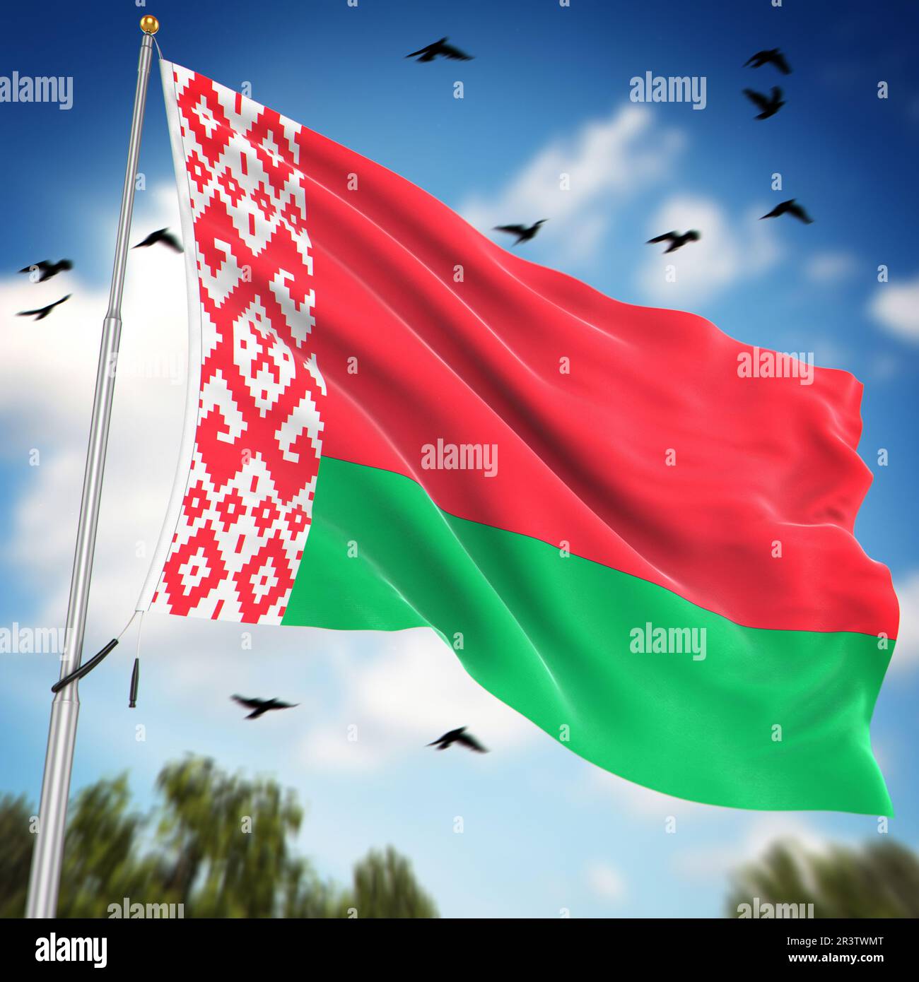 Flag of Belarus Stock Photo - Alamy