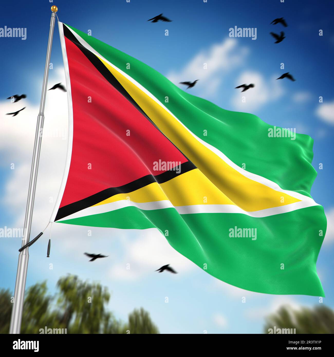 Flag of Guyana Stock Photo - Alamy