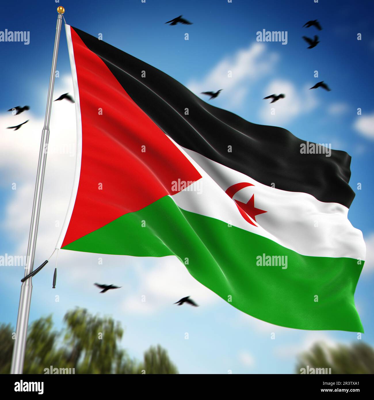 Flag of sahrawi republic hi-res stock photography and images - Alamy