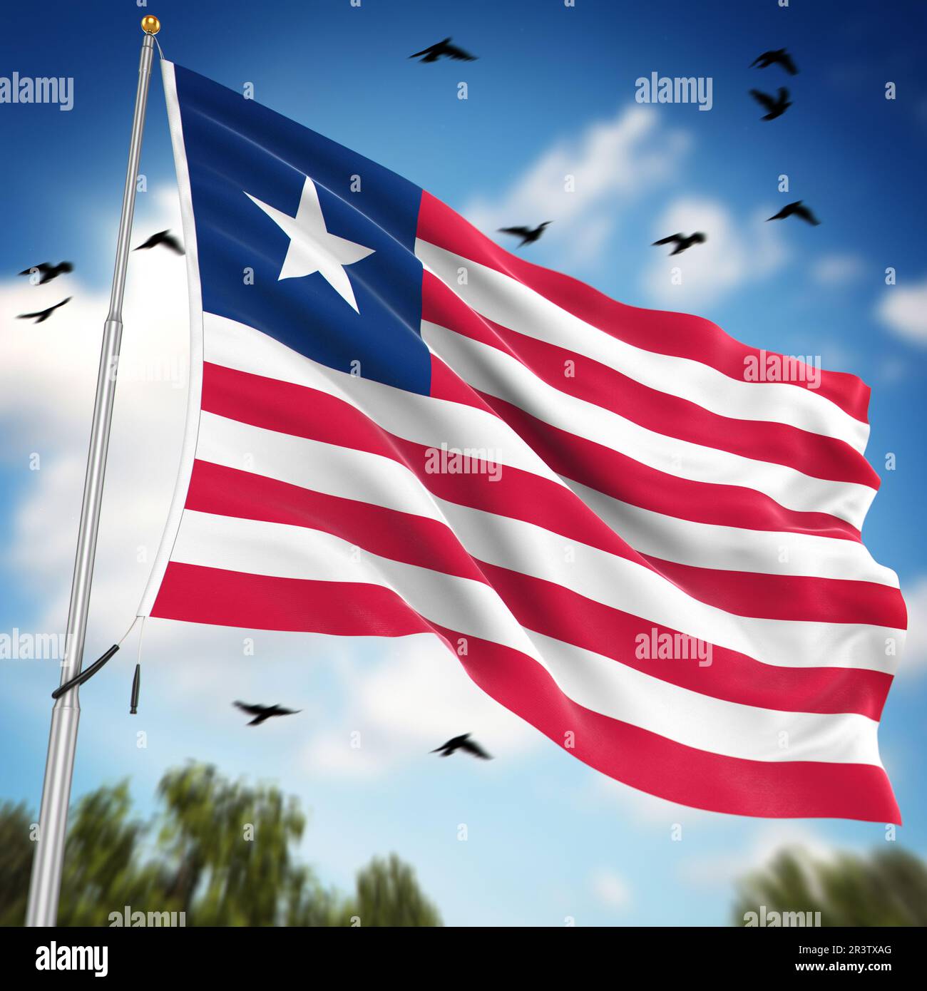 Liberia bird hi-res stock photography and images - Alamy