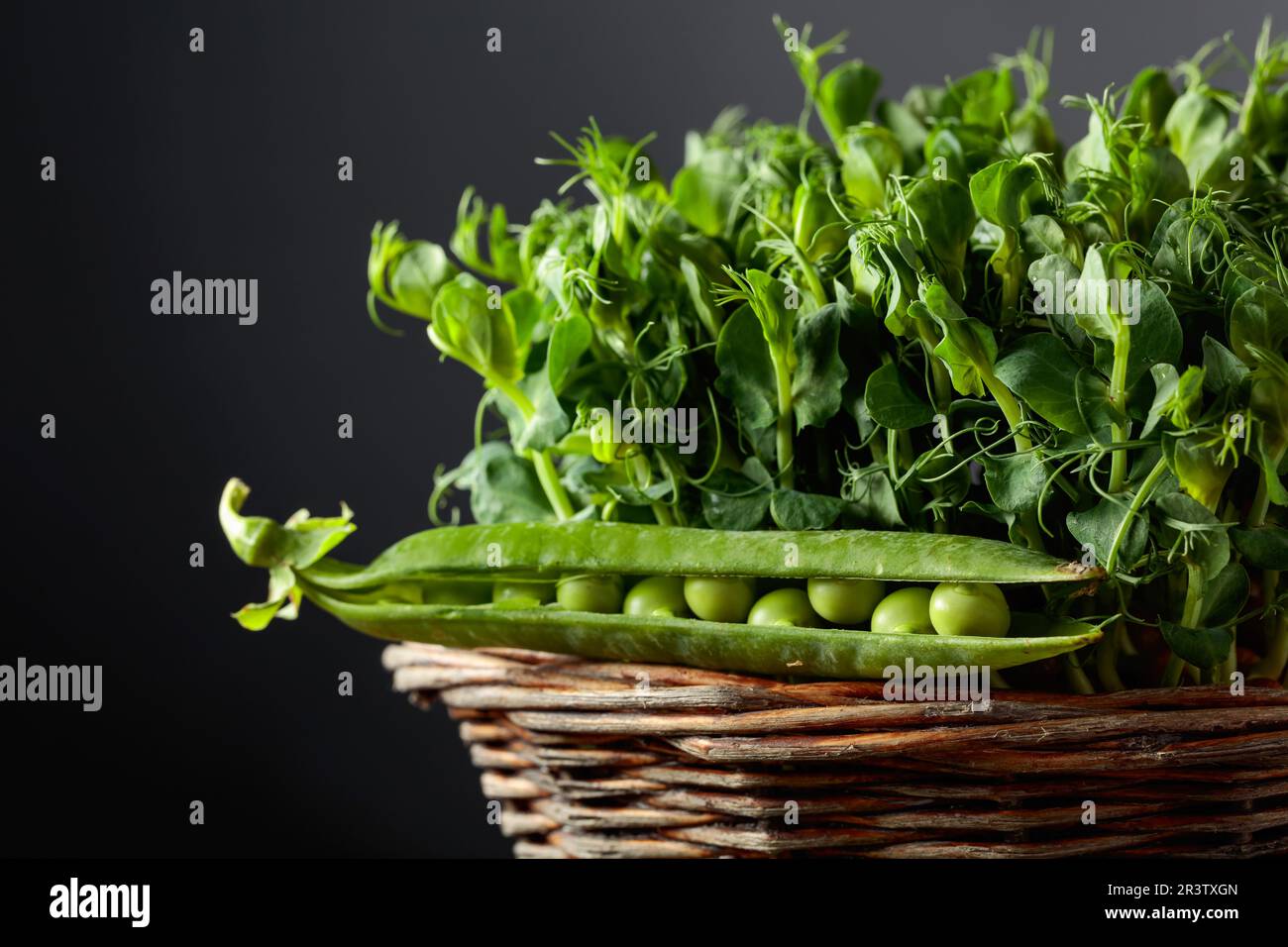 Fresh pea pods and microgreen sprouts. Concept of healthy food Stock ...