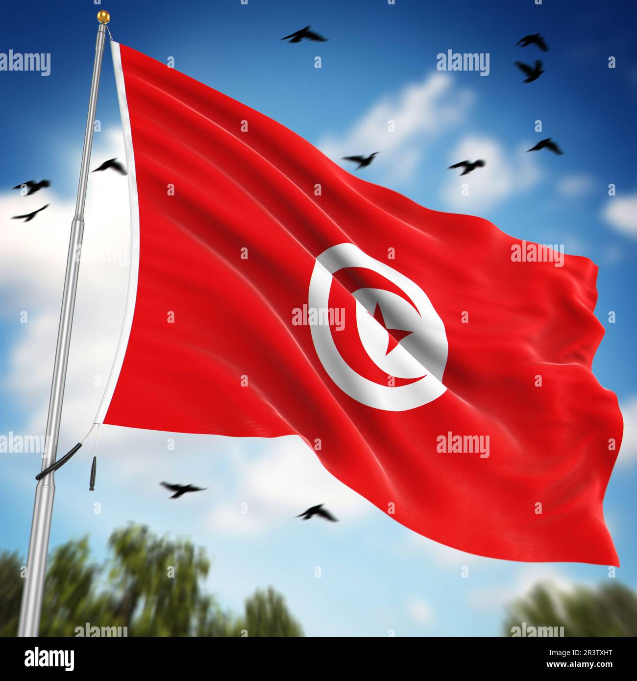 3d render tunisia flag hi-res stock photography and images - Alamy