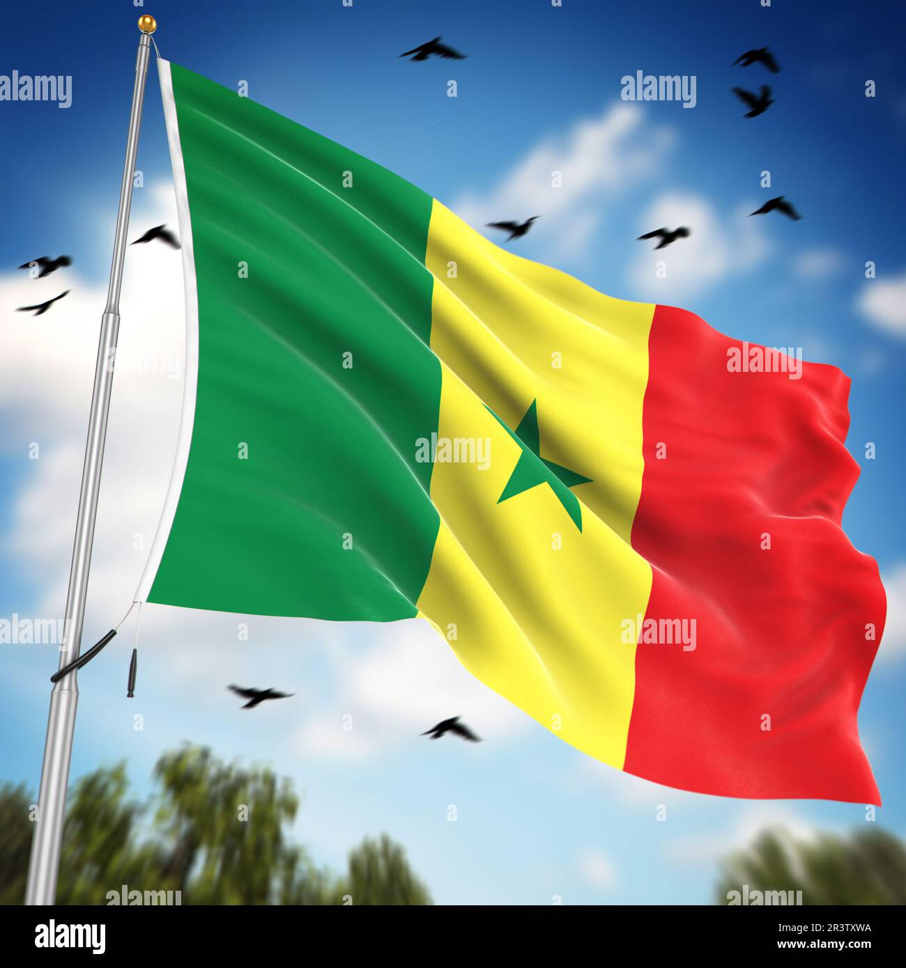 Senegal flag flying hi-res stock photography and images - Alamy