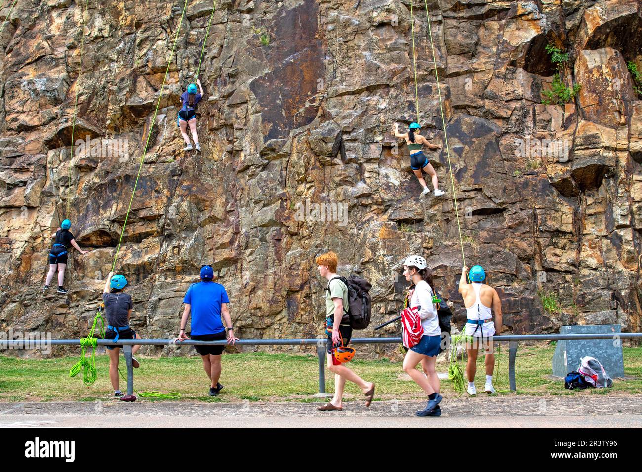 Rock climbing on the Kangaroo Point cliffs in Brisbane Stock Photo - Alamy