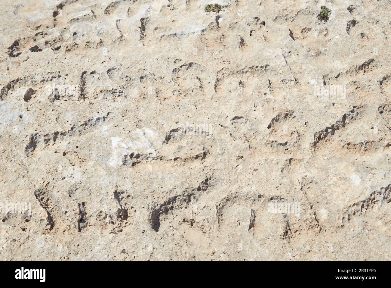 The ancient city of Sogmatar in Sanliurfa, Turkey, was long a religious ...