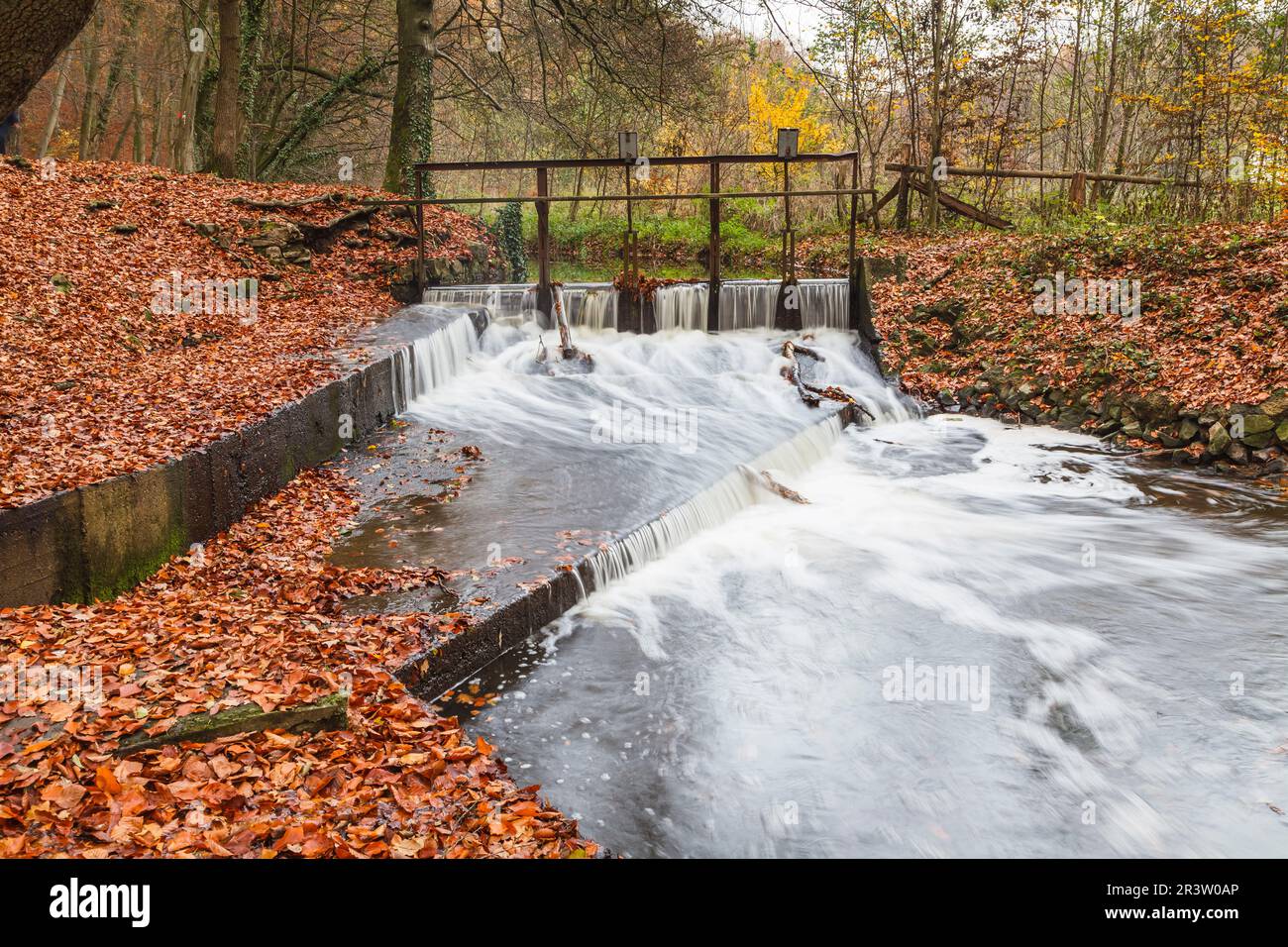 Nettetal with small river in autumn, Wallenhorst-Rulle, OsnabrÃ¼cker ...