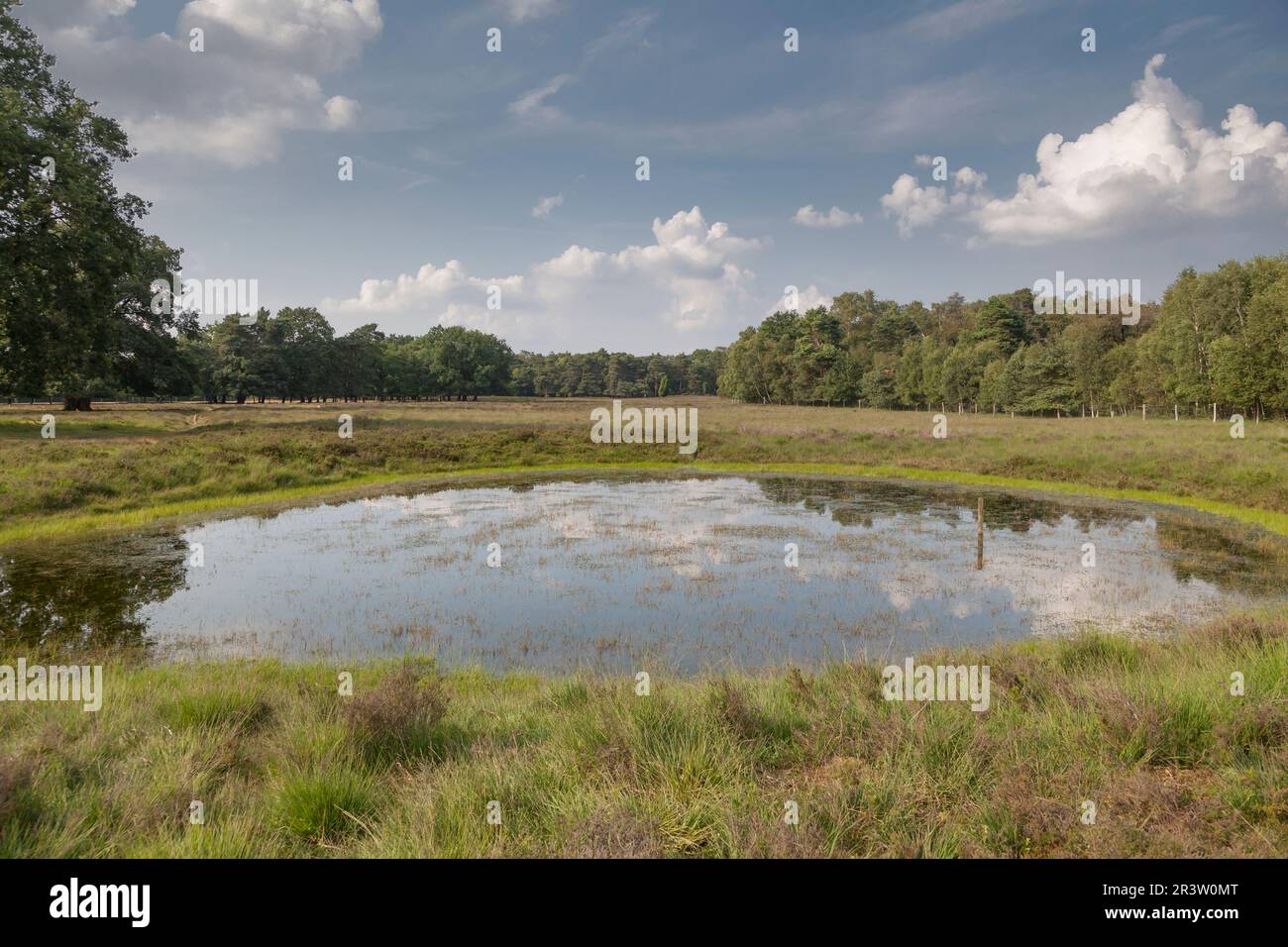 The holy pond hi-res stock photography and images - Alamy