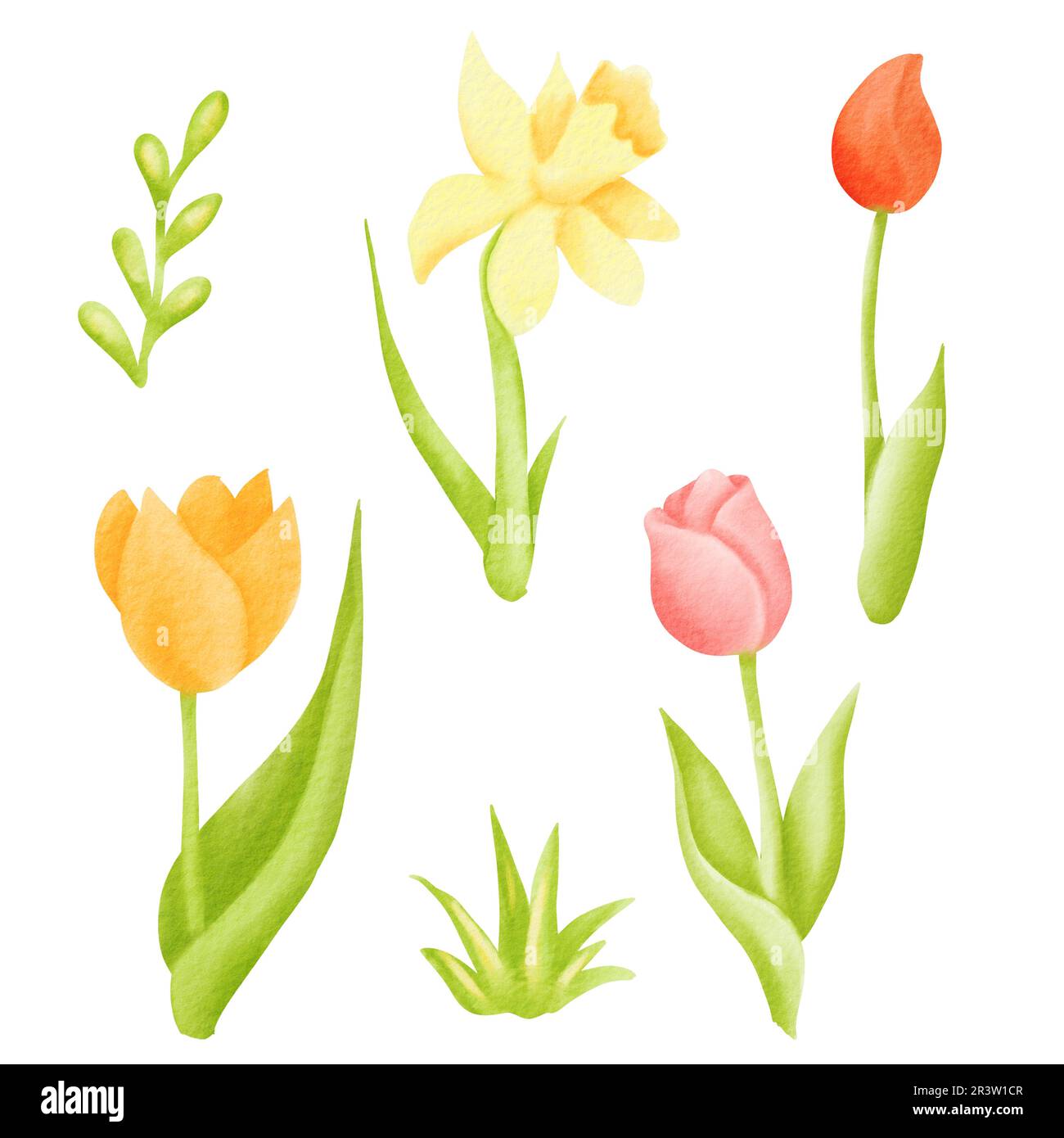 Cartoon of garden flowers hi-res stock photography and images - Alamy