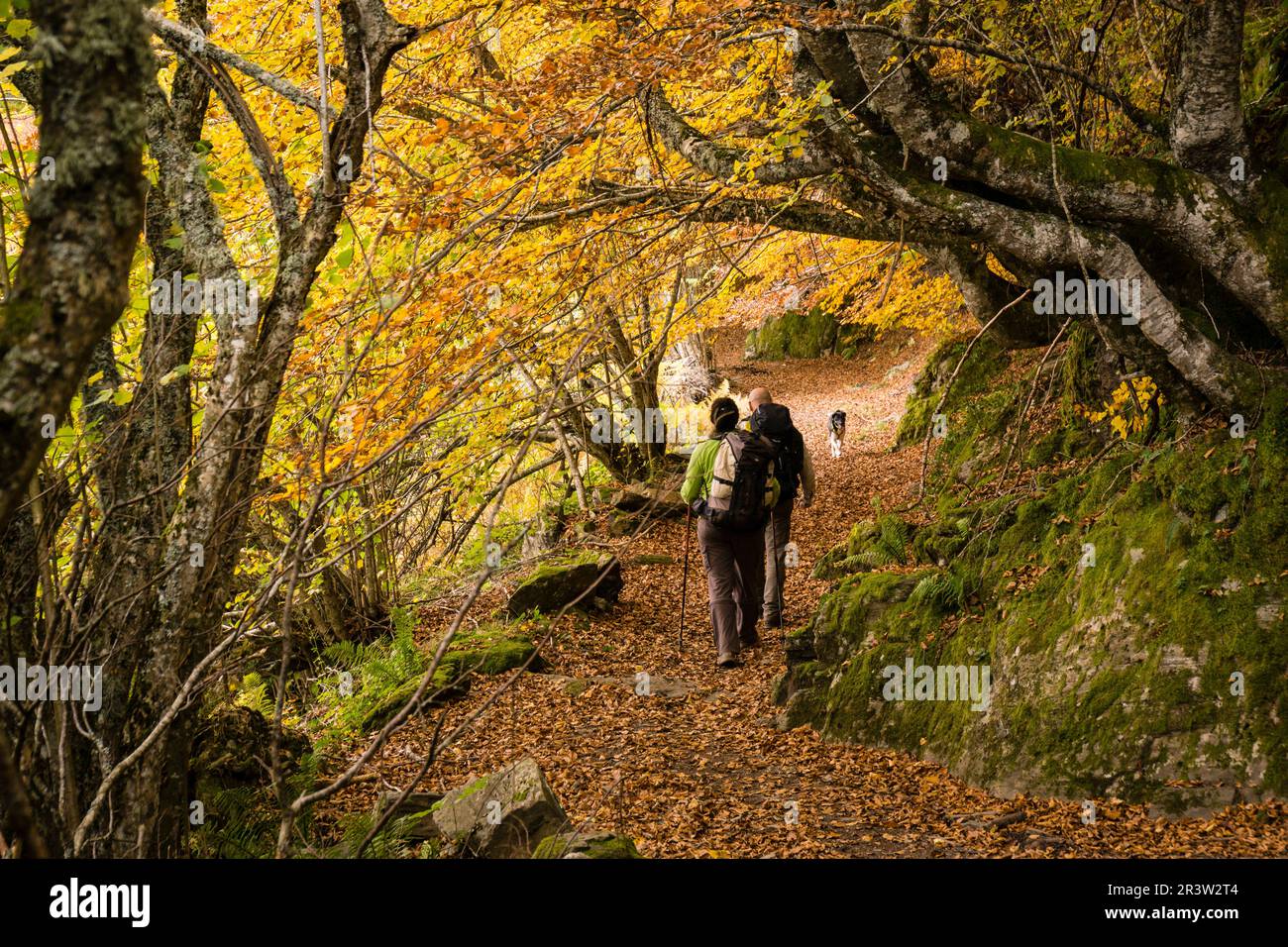 Living conditions mountain life hi-res stock photography and images - Alamy
