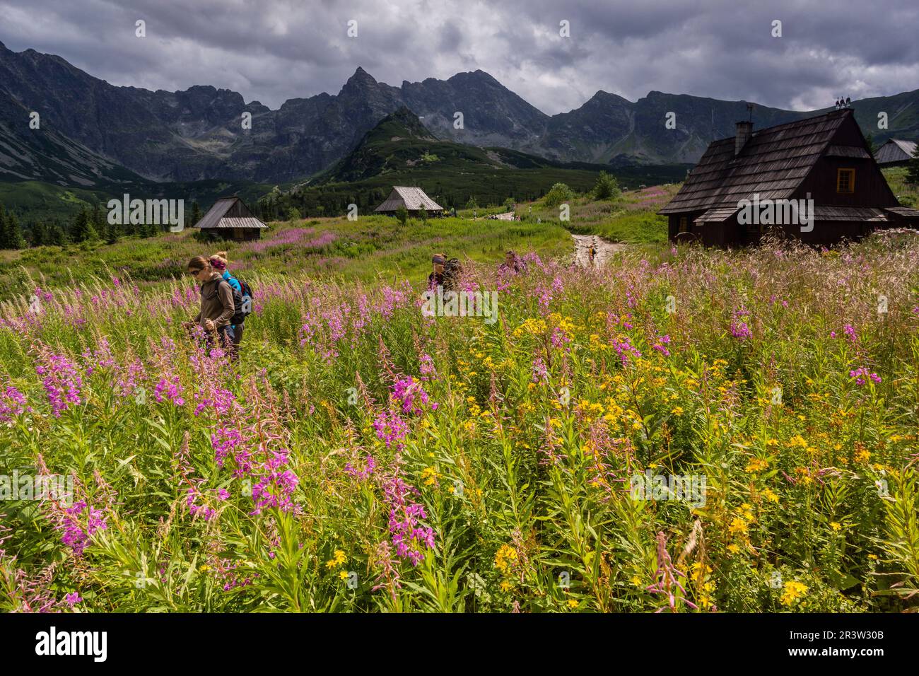 Rove formation hi-res stock photography and images - Alamy