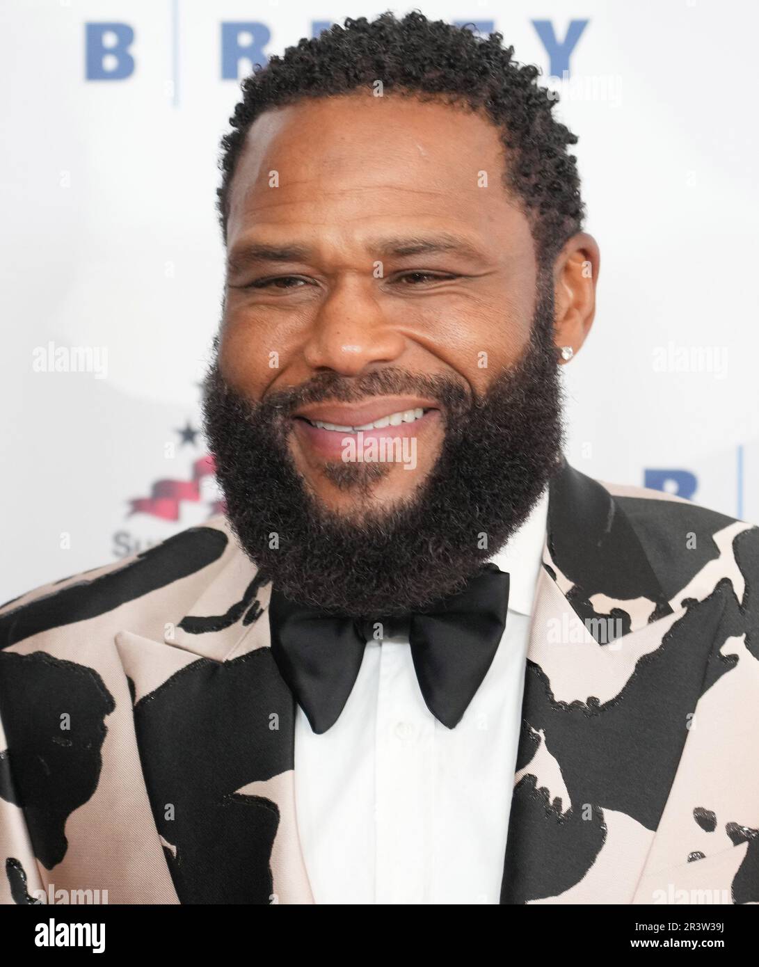 Los Angeles, USA. 24th May, 2023. Anthony Anderson arrives at the 12th ...