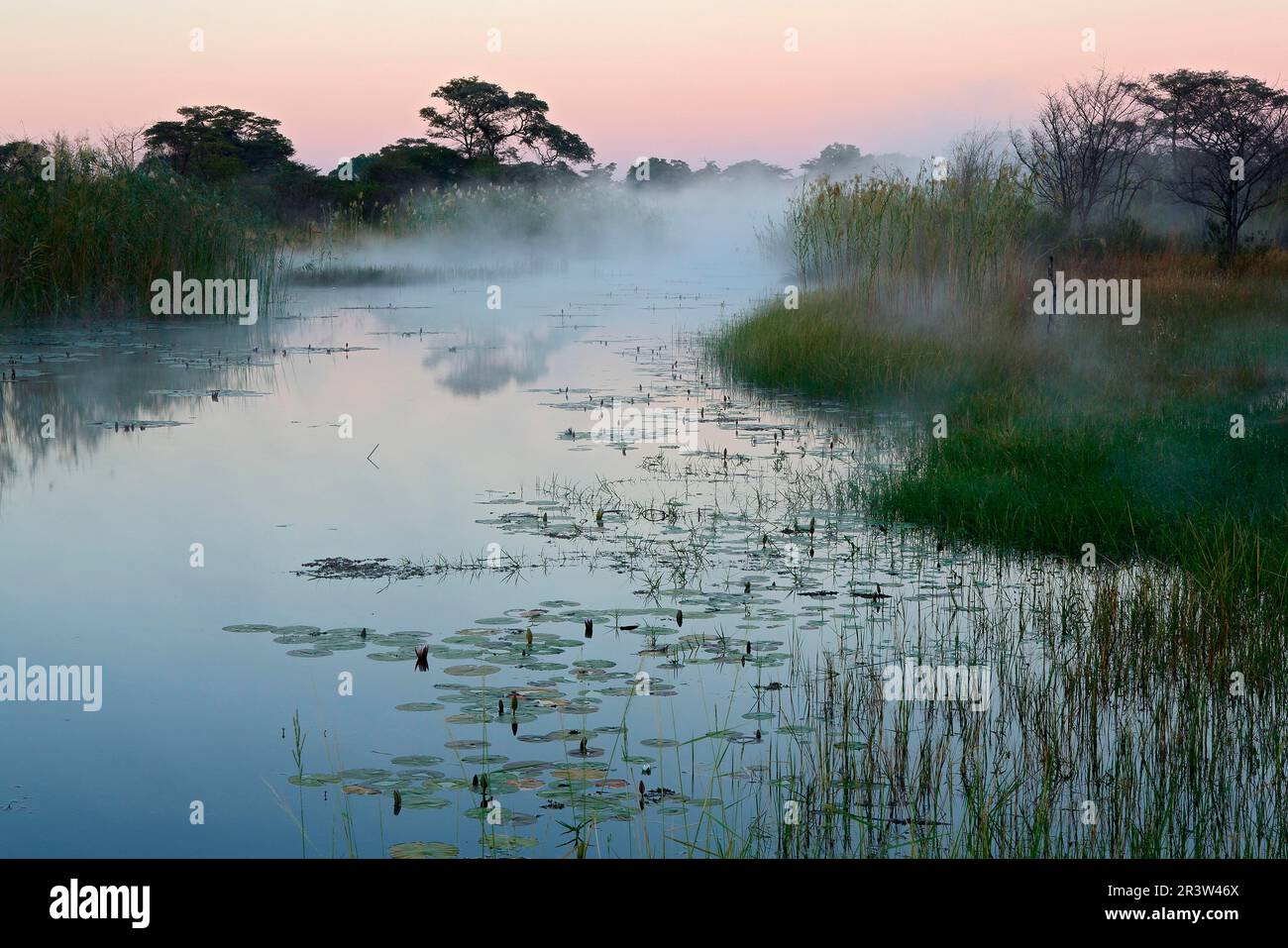 Kwando River, Namibia Stock Photo - Alamy